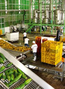 Our Company - profoodcorp.com